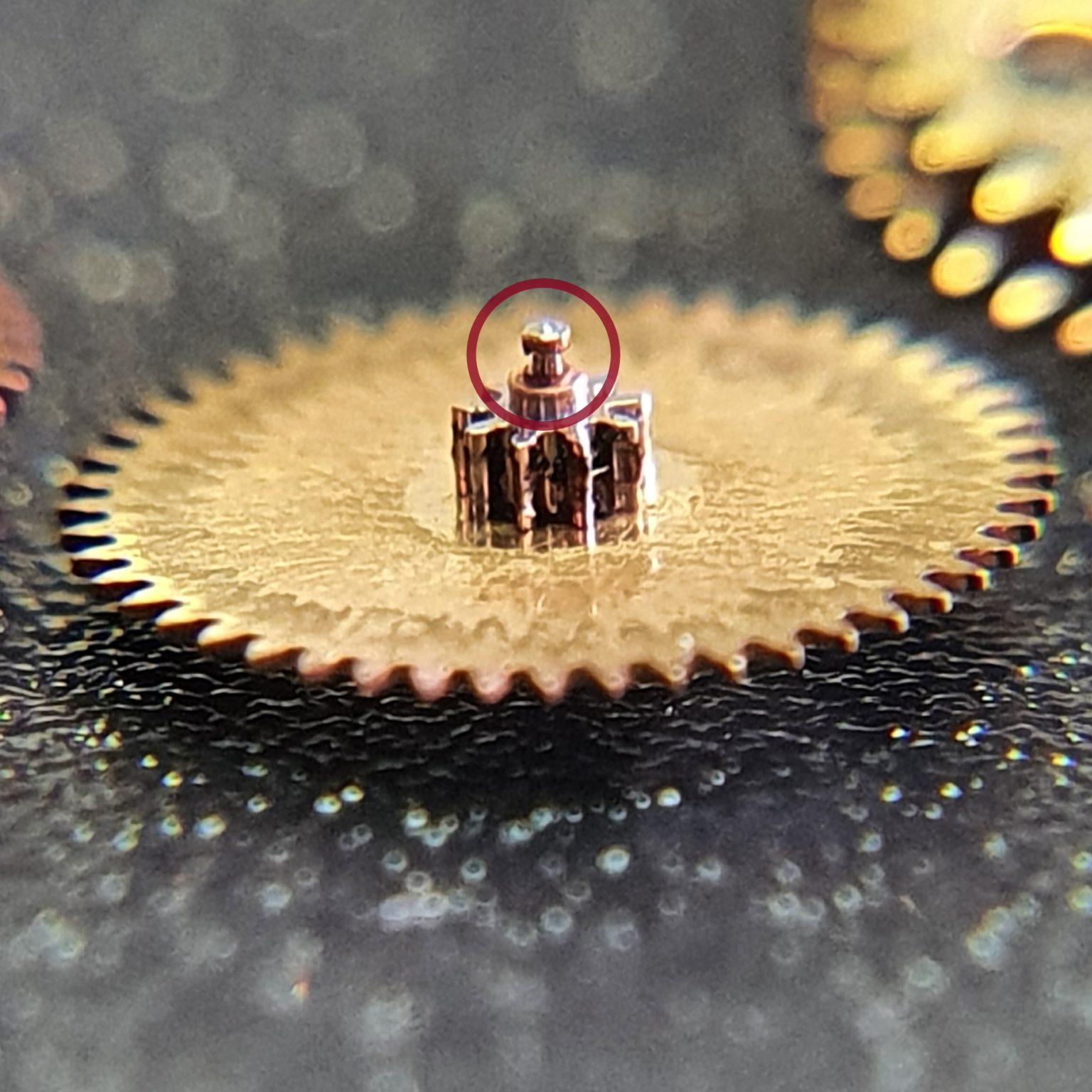 Démontage montre automatique Rado ⋆ Montre l'heure